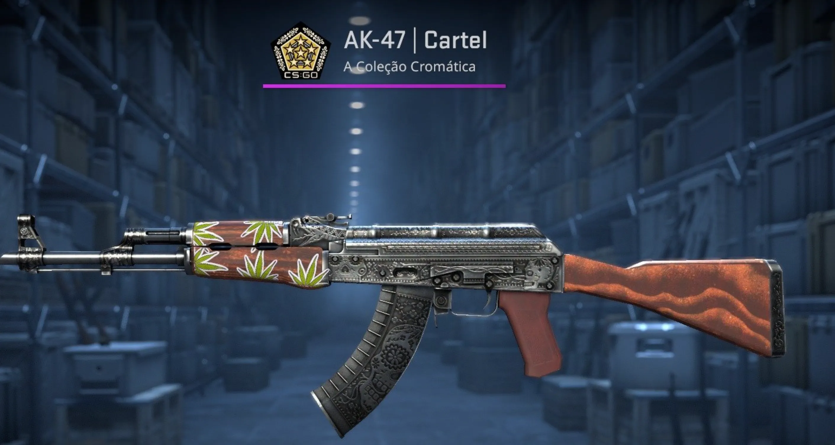 10 Best Cheap AK-47 Skins Under $20 In CS2 | 1v9