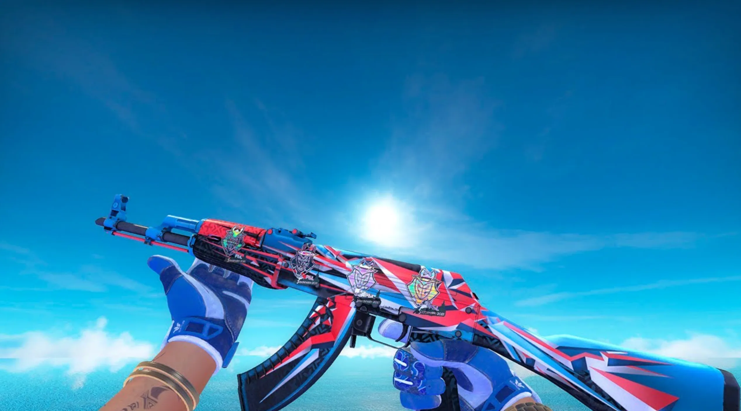 10 Best Cheap AK-47 Skins Under $20 In CS2 | 1v9