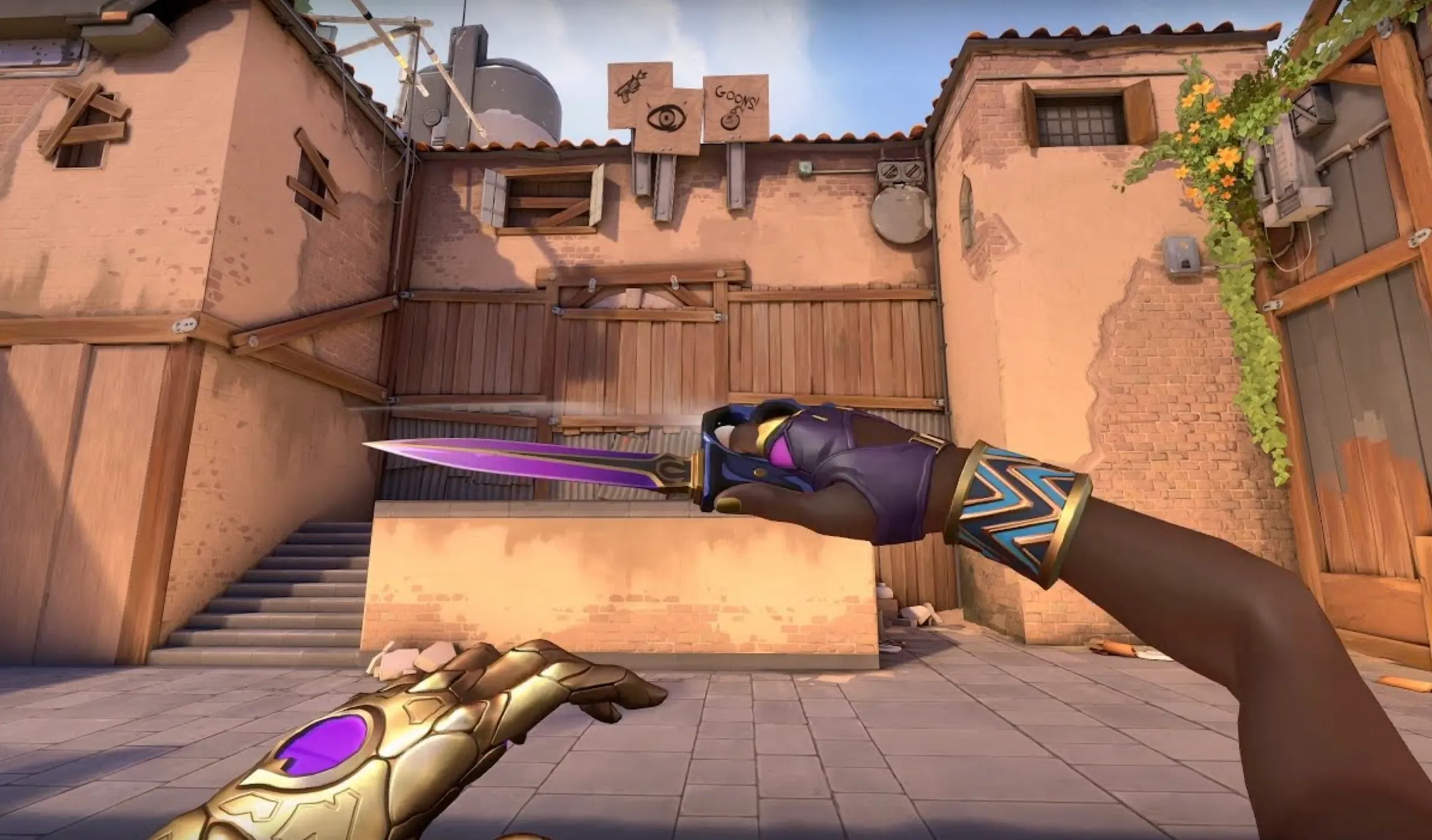 14 Best Cheap Knife Skins In Valorant | 1v9