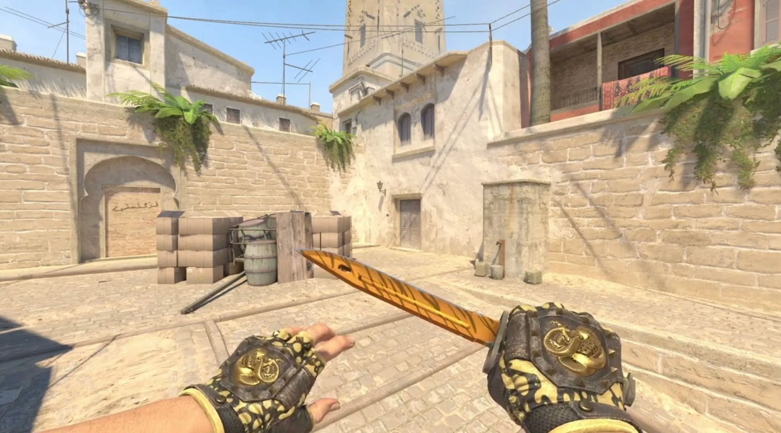 10 Best Gloves Skins To Pair With Tiger Tooth Knife In CS2 | 1v9