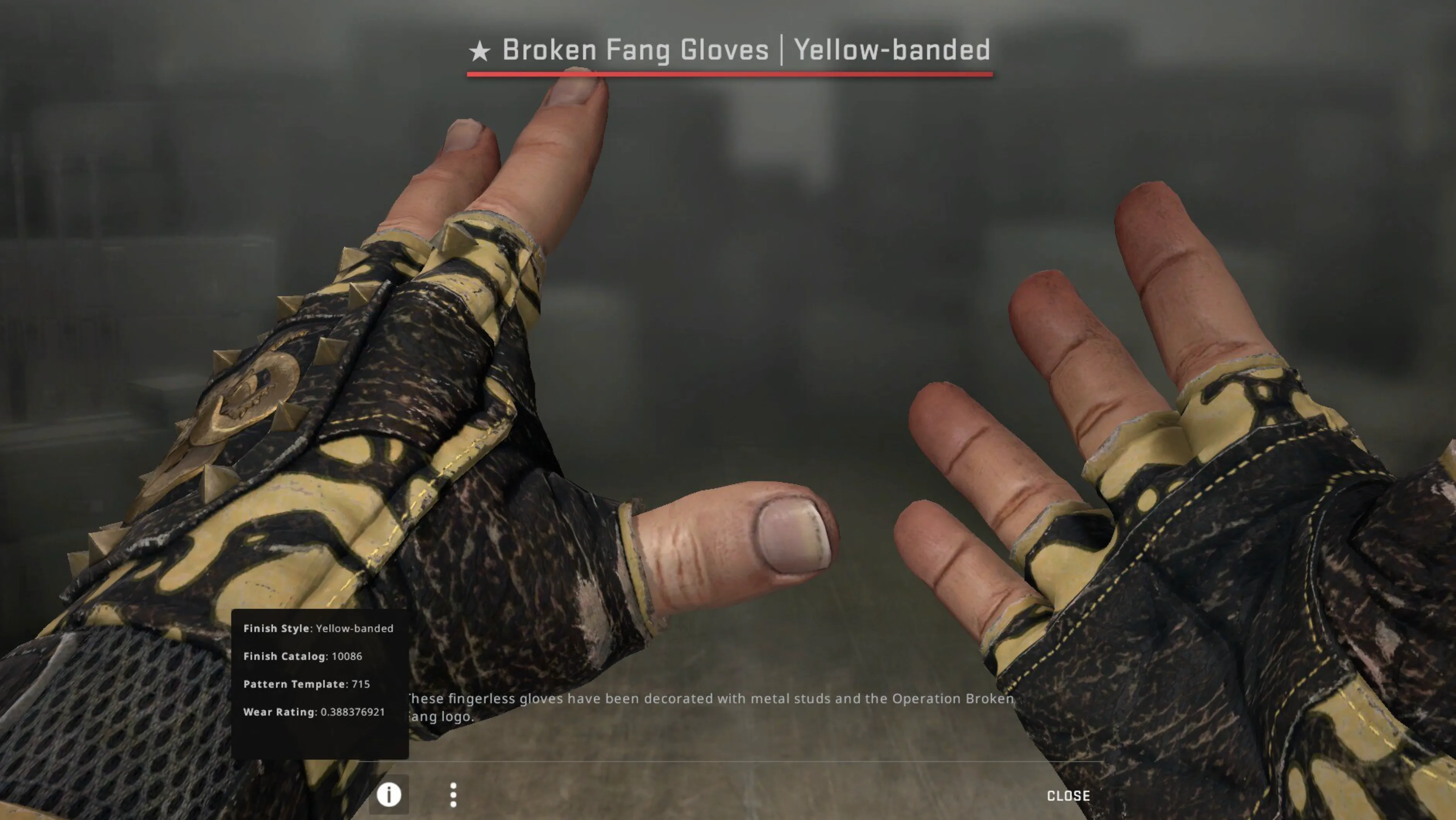 10 Best Gloves To Pair With Tiger Tooth Knife In CS2 | 1v9