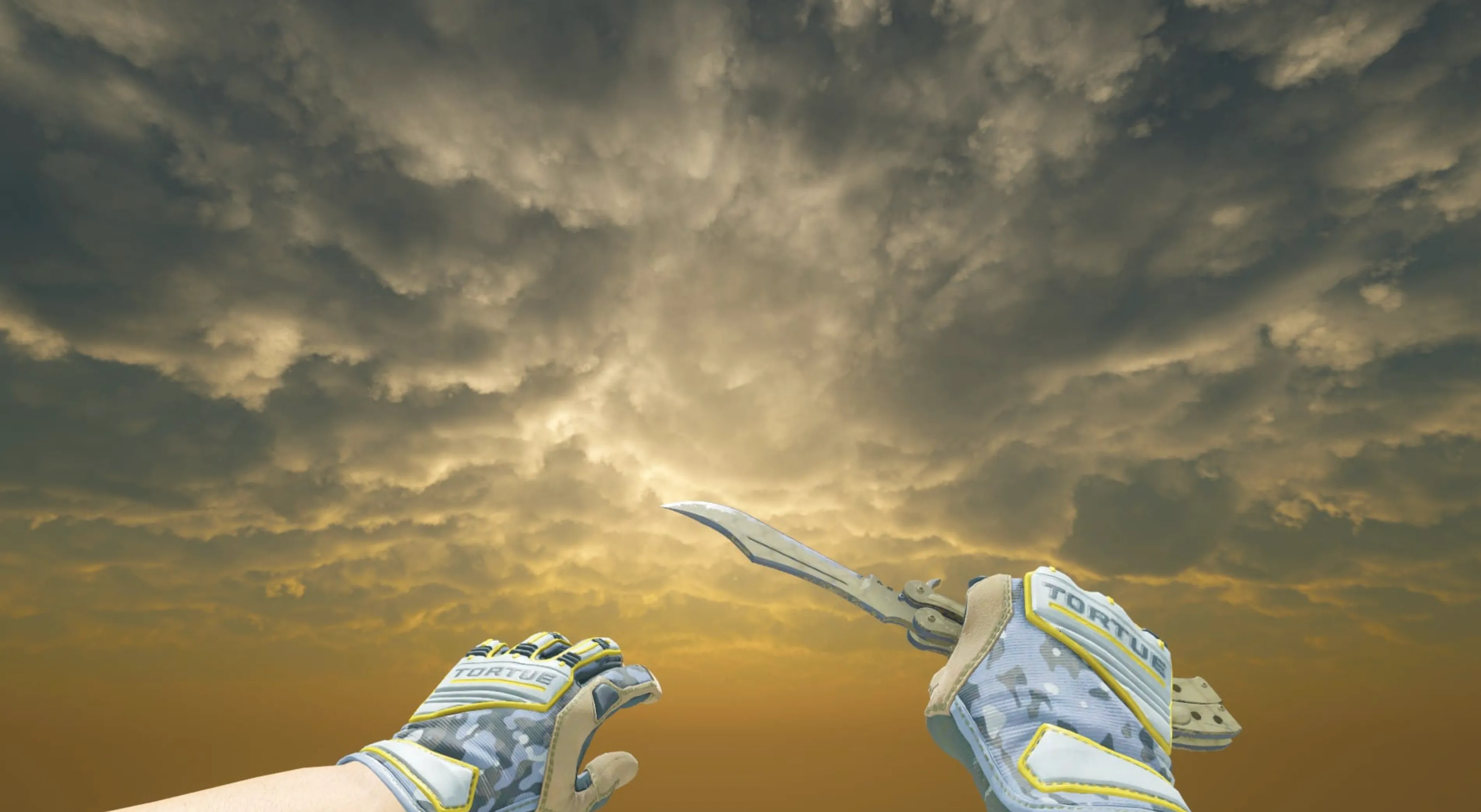 8 Best Cheap Butterfly Knife Skins In CS2 | 1v9