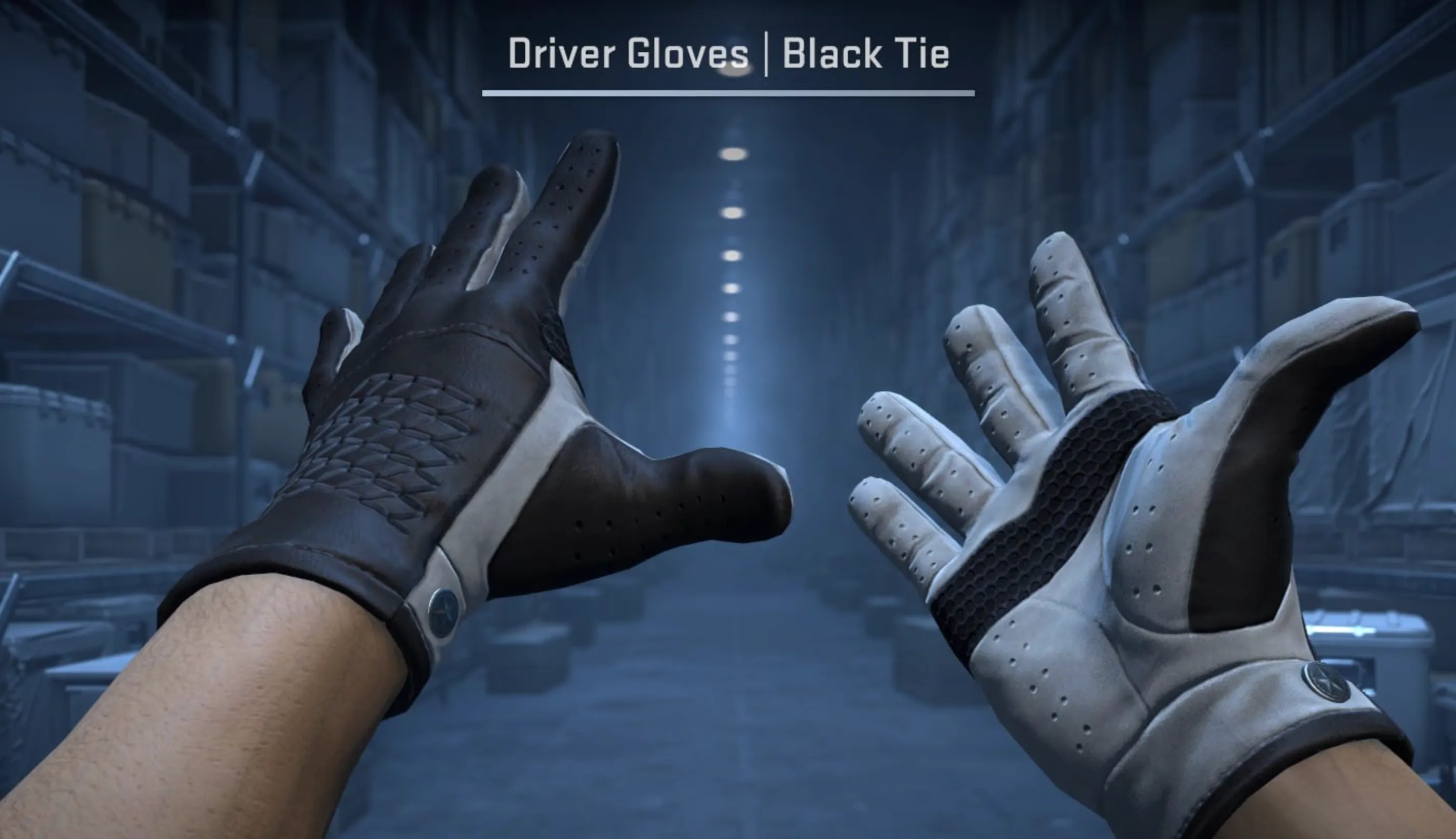 10 Best Gloves To Pair With Vanilla Knife In CS2 | 1v9