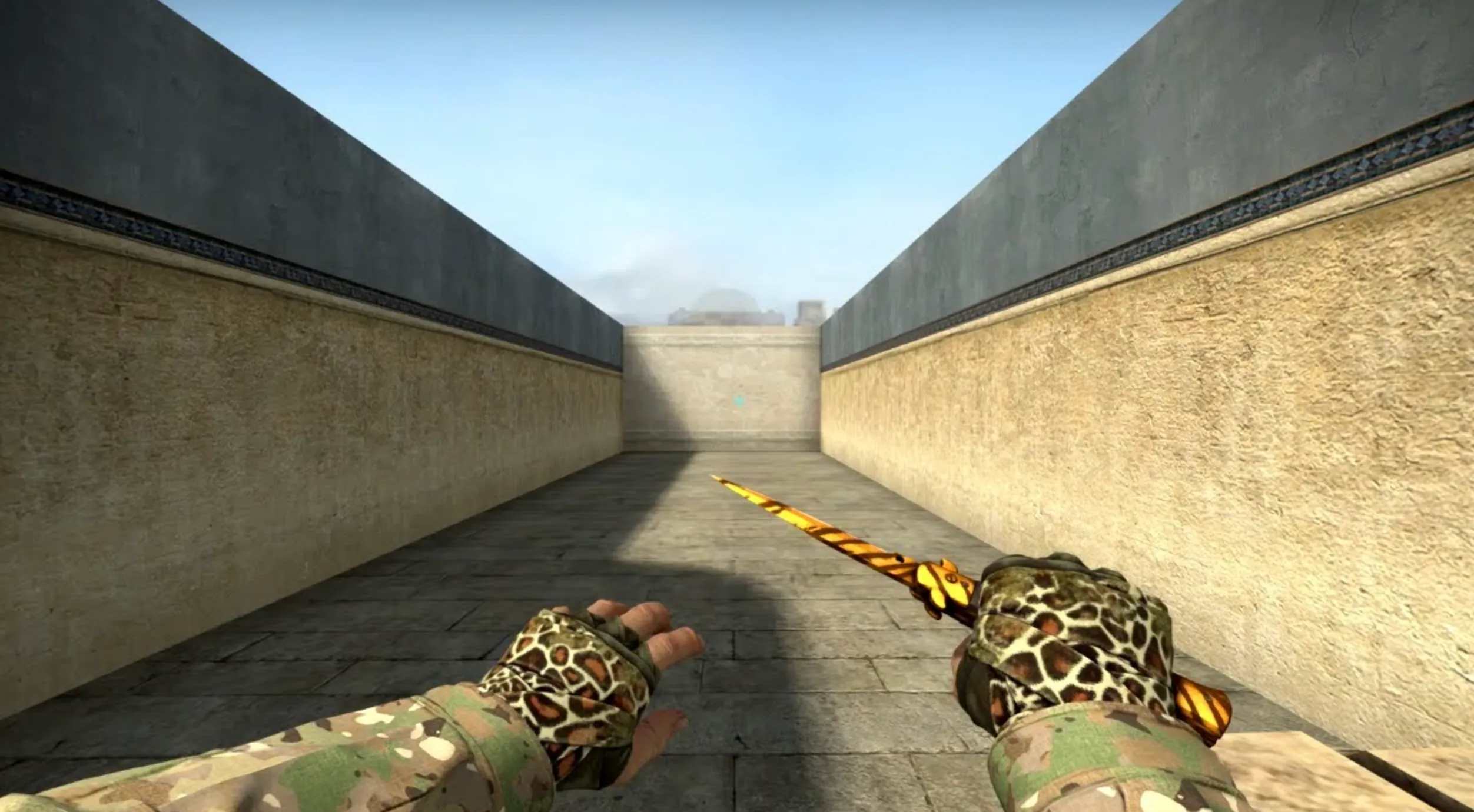 10 Best Gloves Skins To Pair With Tiger Tooth Knife In CS2 | 1v9