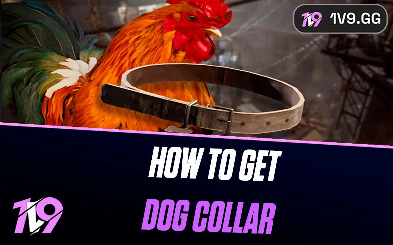How To Get Dog Collar in Arc Raiders | 1v9
