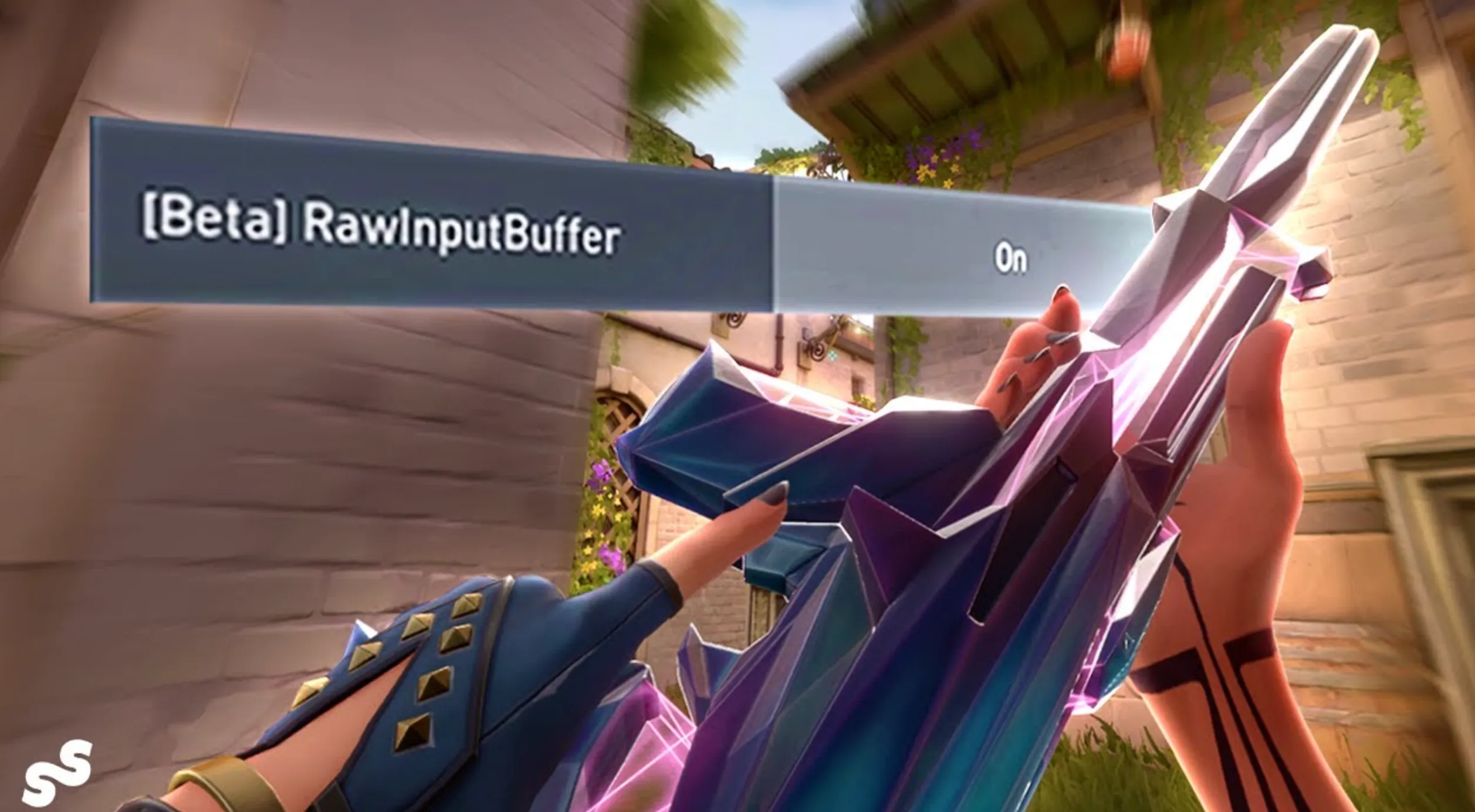 What is Raw Input Buffer in Valorant? | 1v9