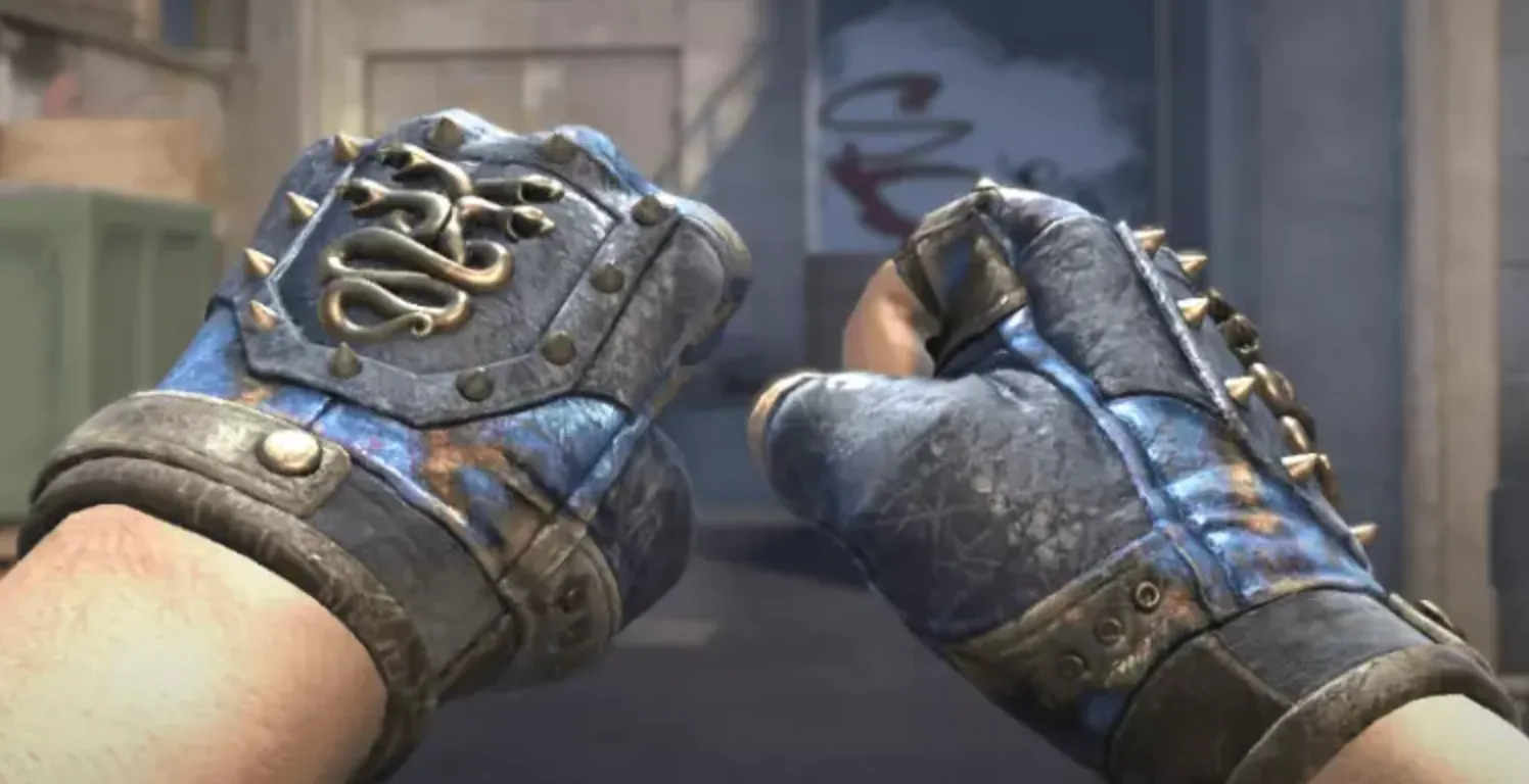 10 Best Hydra Gloves Skins in CS2 | 1v9