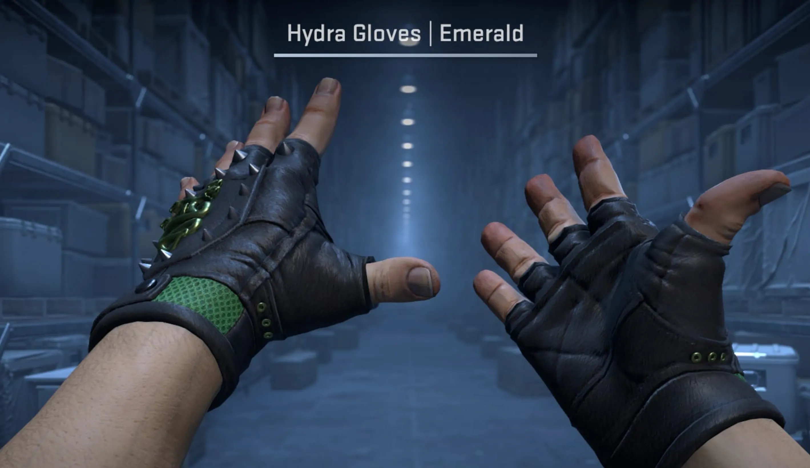 10 Best Hydra Gloves Skins in CS2 | 1v9