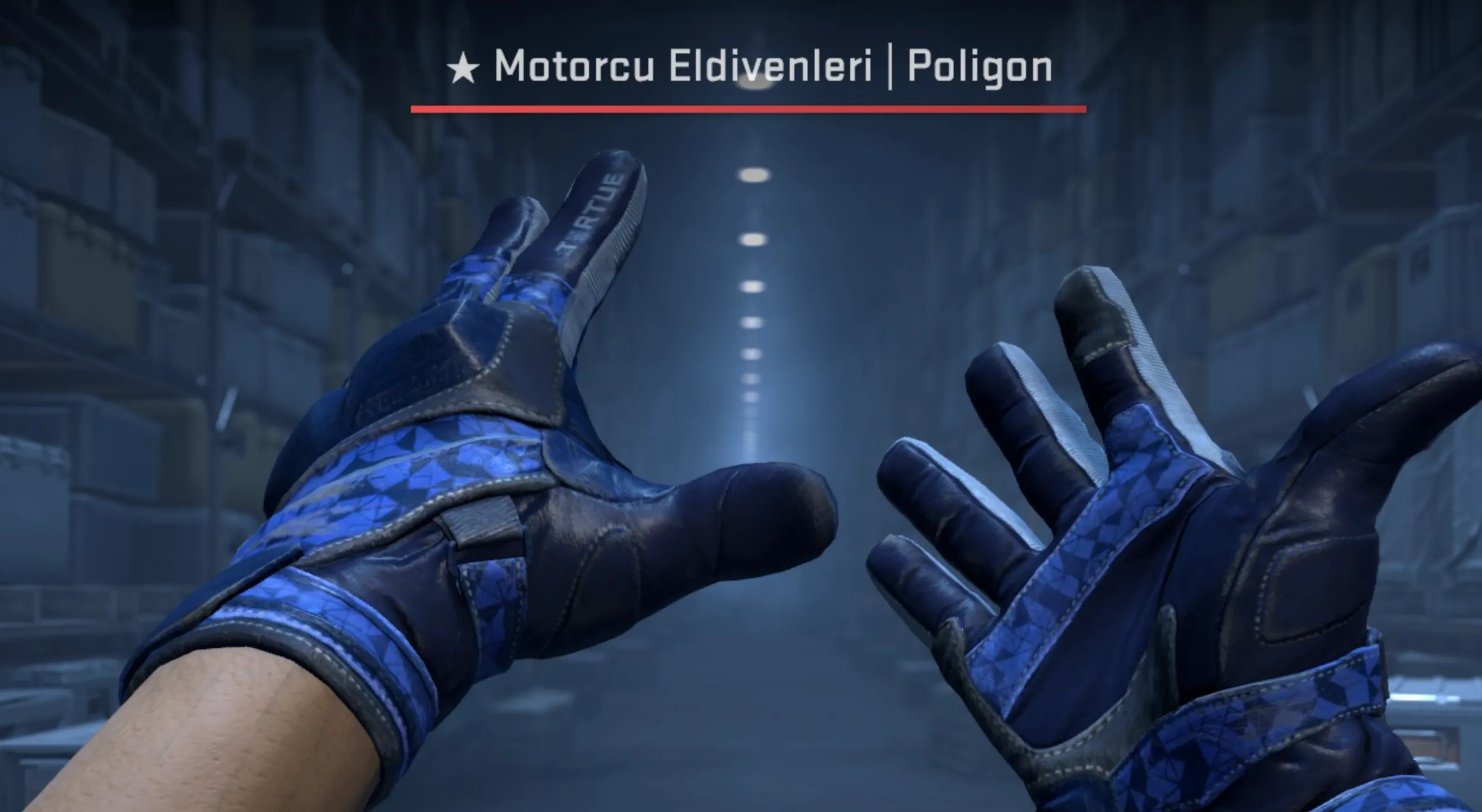 10 Best Gloves To Pair With Free Hand Knife In CS2 | 1v9
