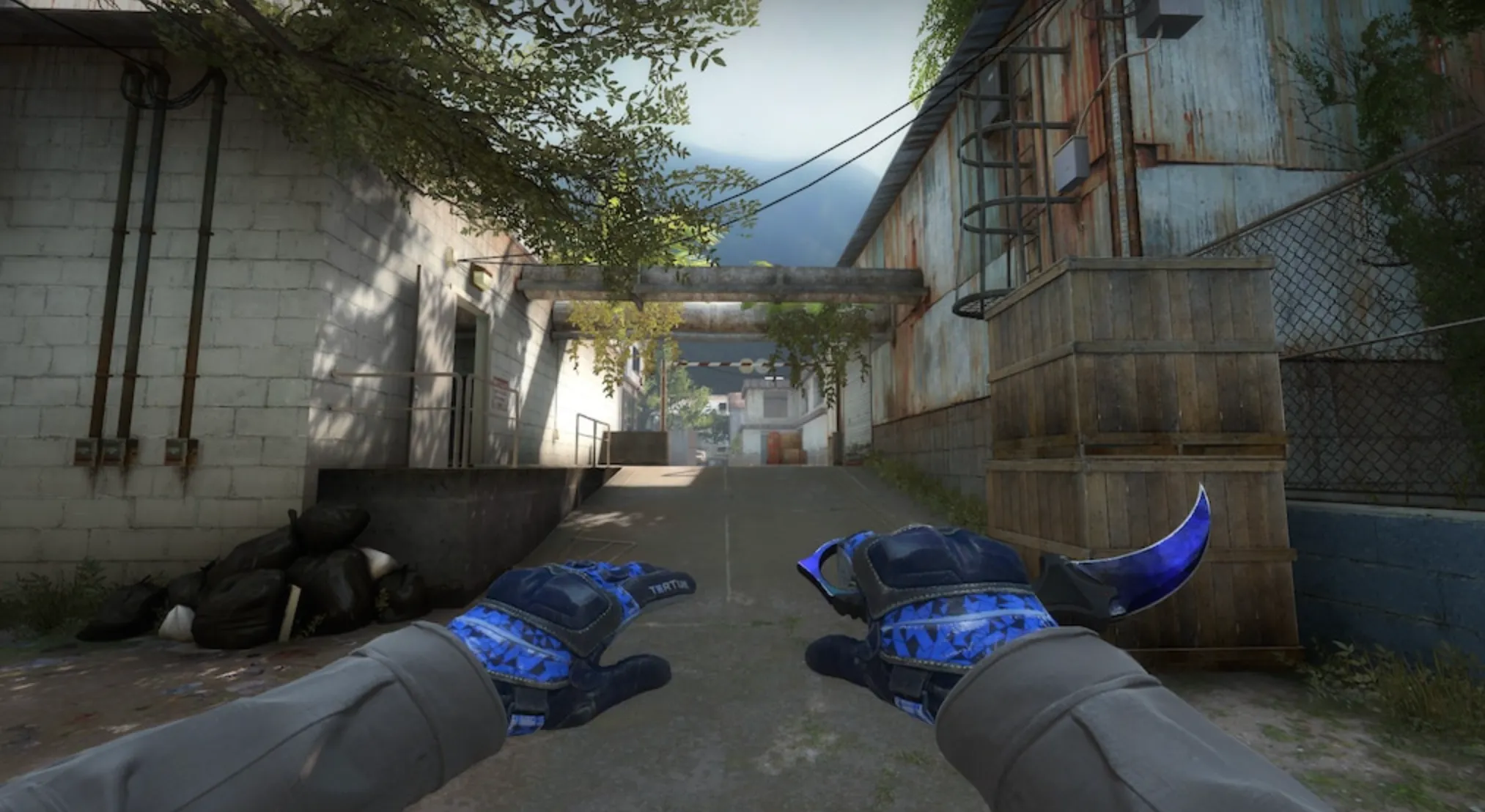 10 Best Gloves To Pair With Stained Knife In CS2 | 1v9