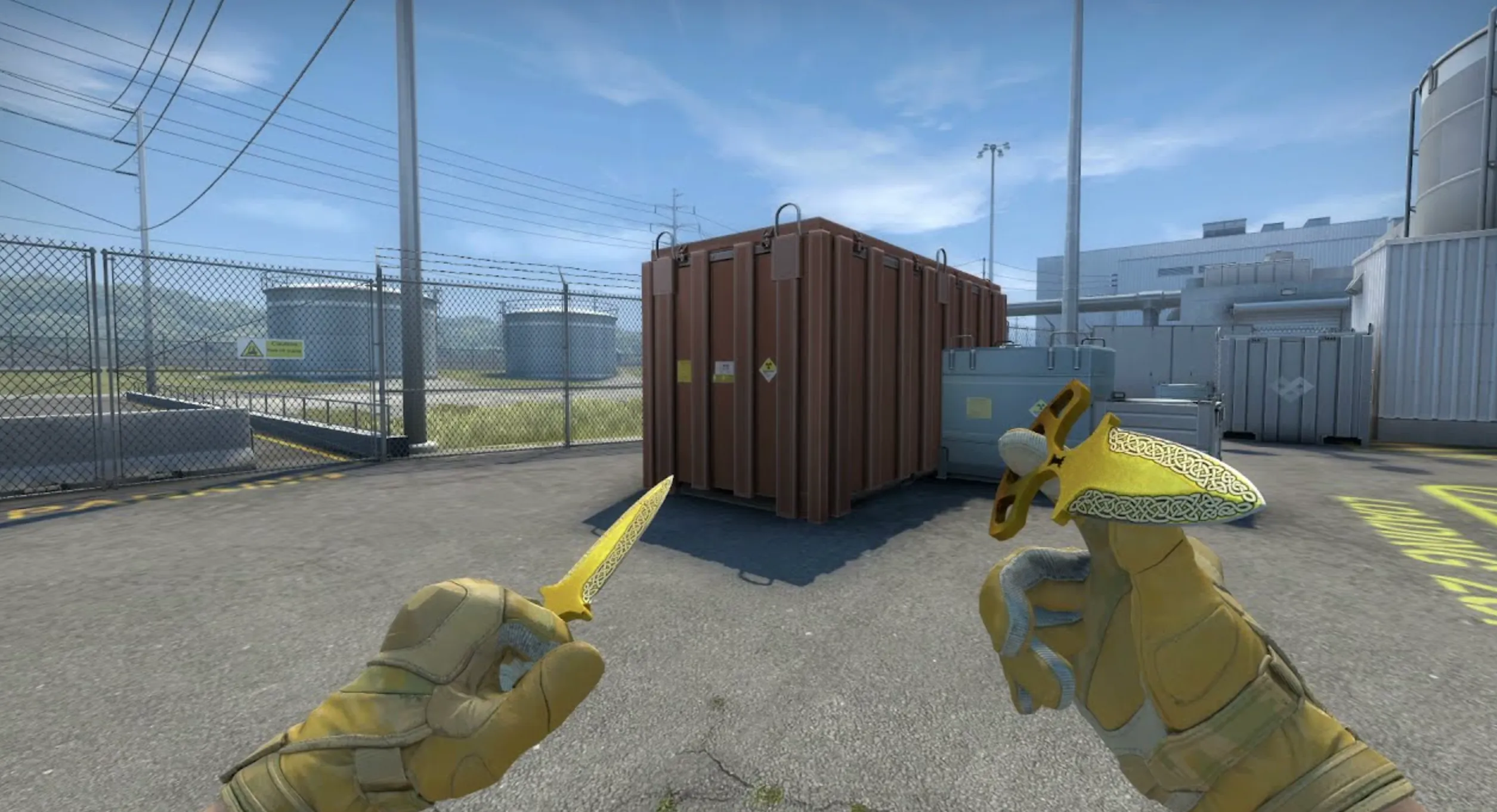 10 Best Gloves Skins To Pair With Tiger Tooth Knife In CS2 | 1v9