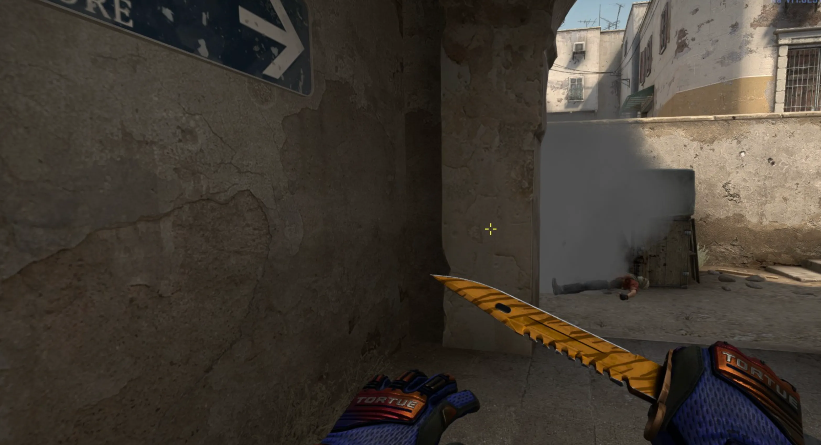 10 Best Gloves Skins To Pair With Tiger Tooth Knife In CS2 | 1v9