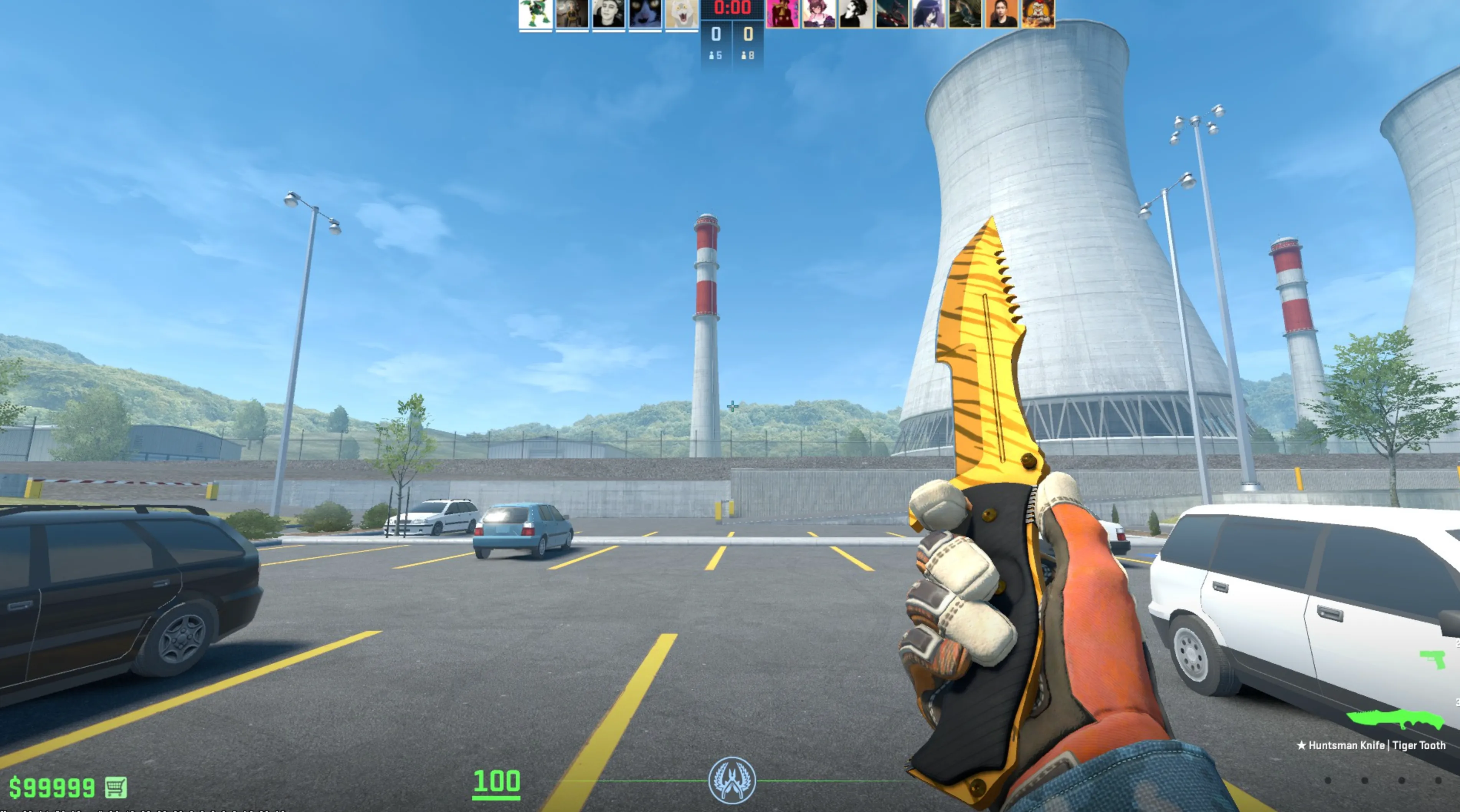 10 Best Gloves Skins To Pair With Tiger Tooth Knife In CS2 | 1v9