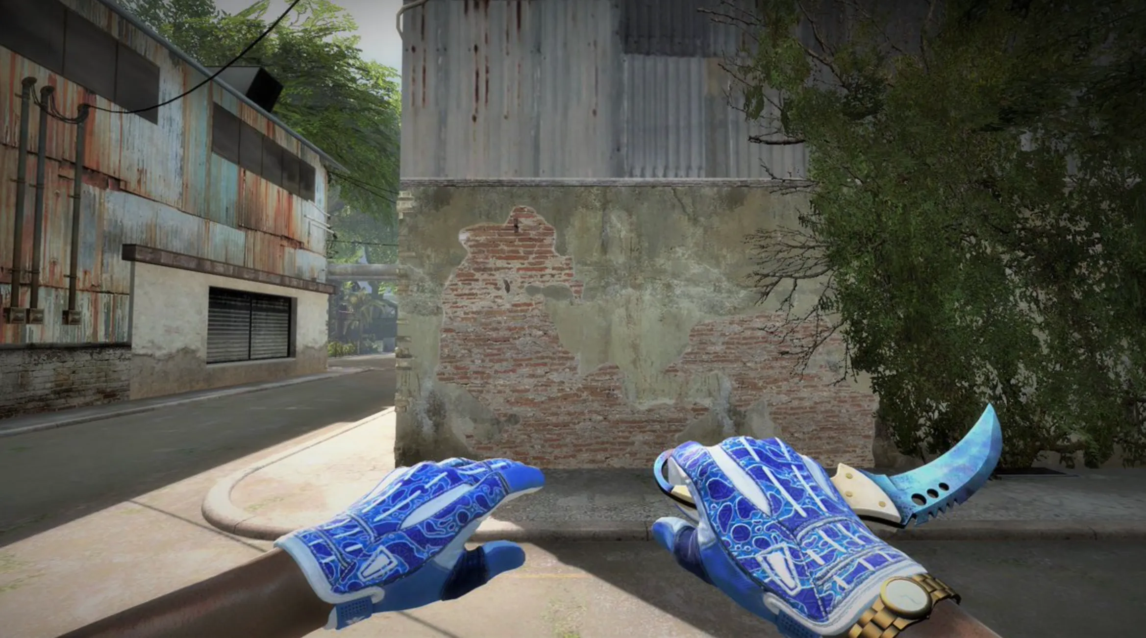 10 Best Gloves To Pair With Gamma Doppler Knife In CS2 | 1v9