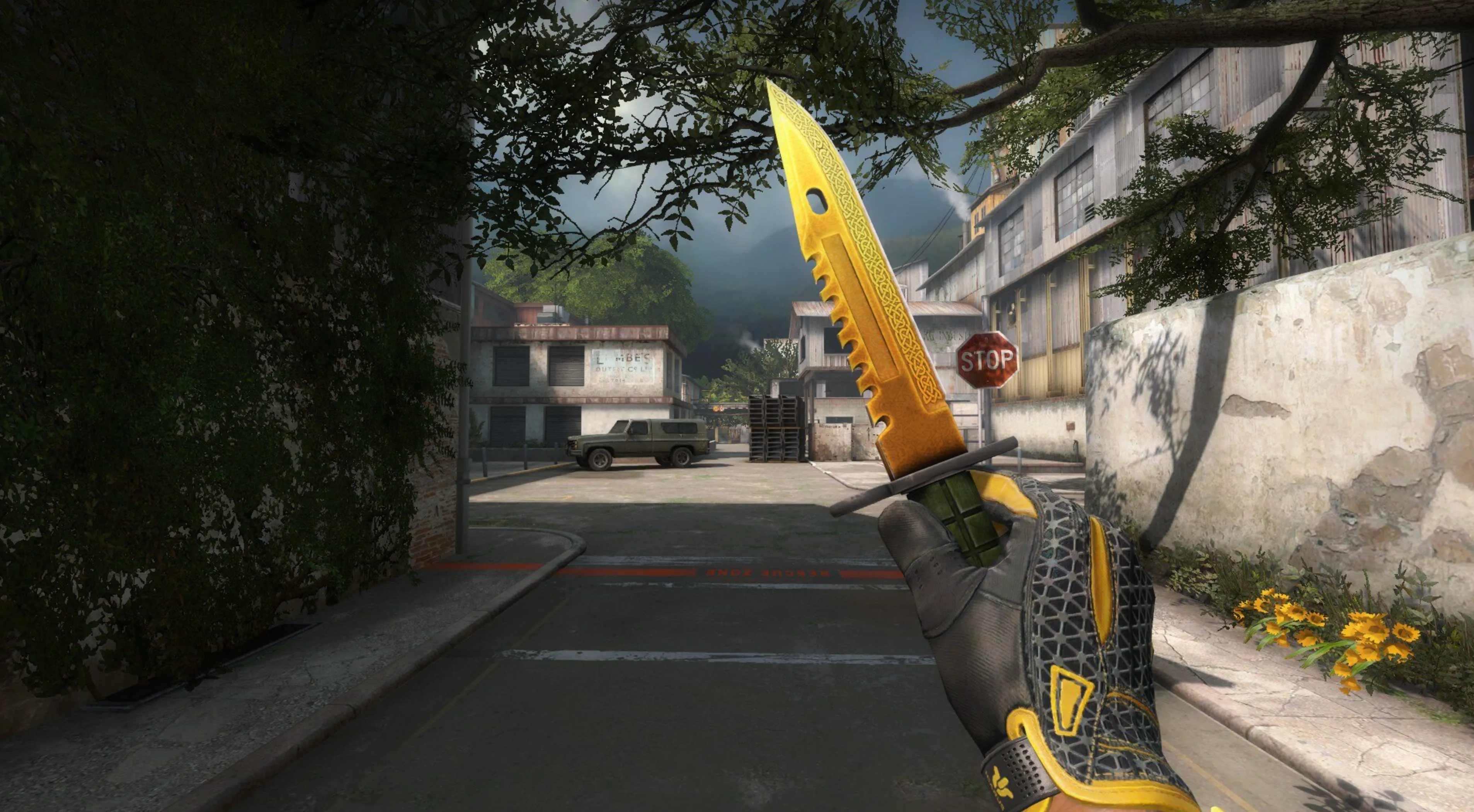 10 Best Gloves To Pair With Vanilla Knife In CS2 | 1v9
