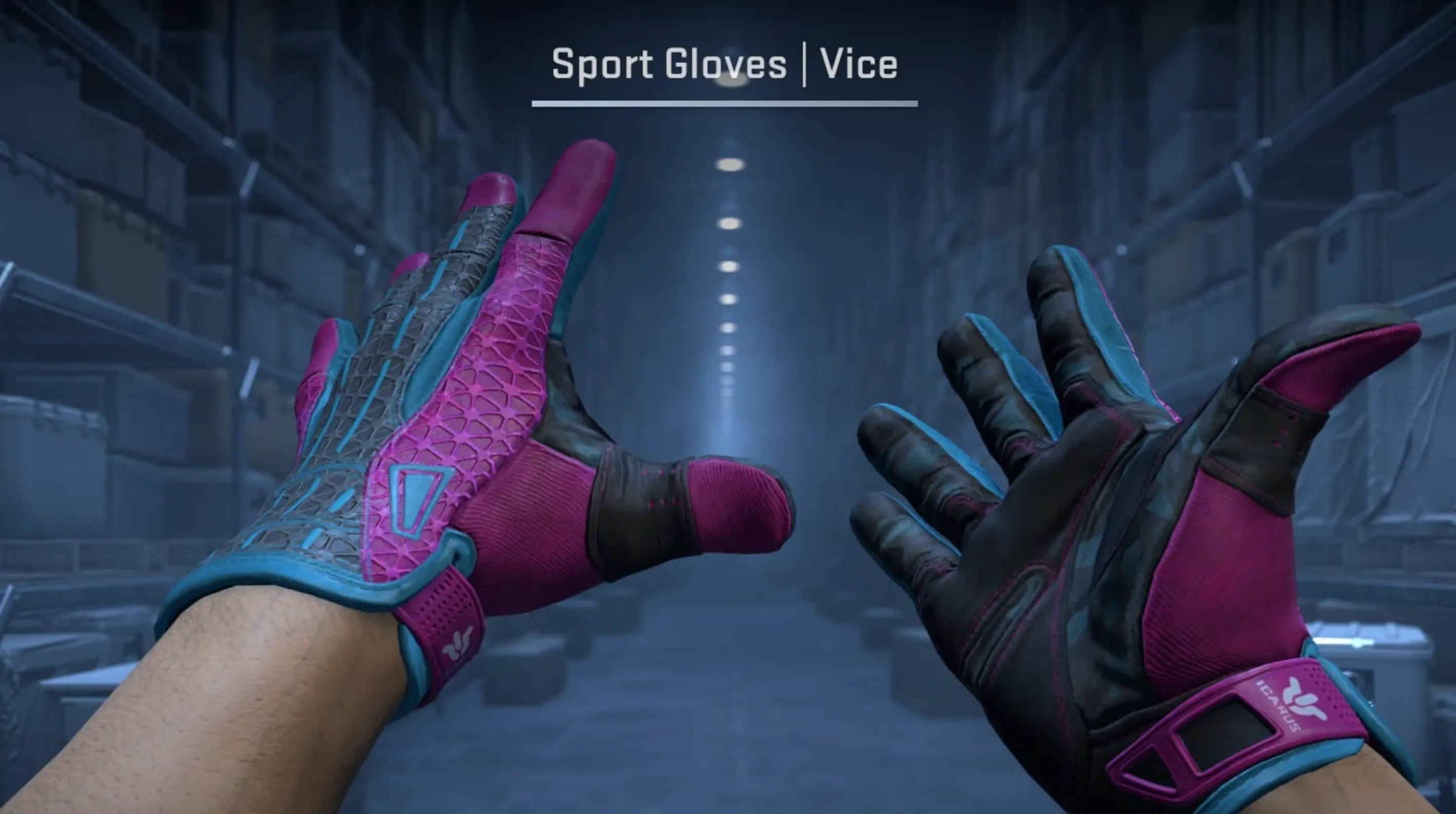10 Best Gloves To Pair With Doppler Knife In CS2 | 1v9