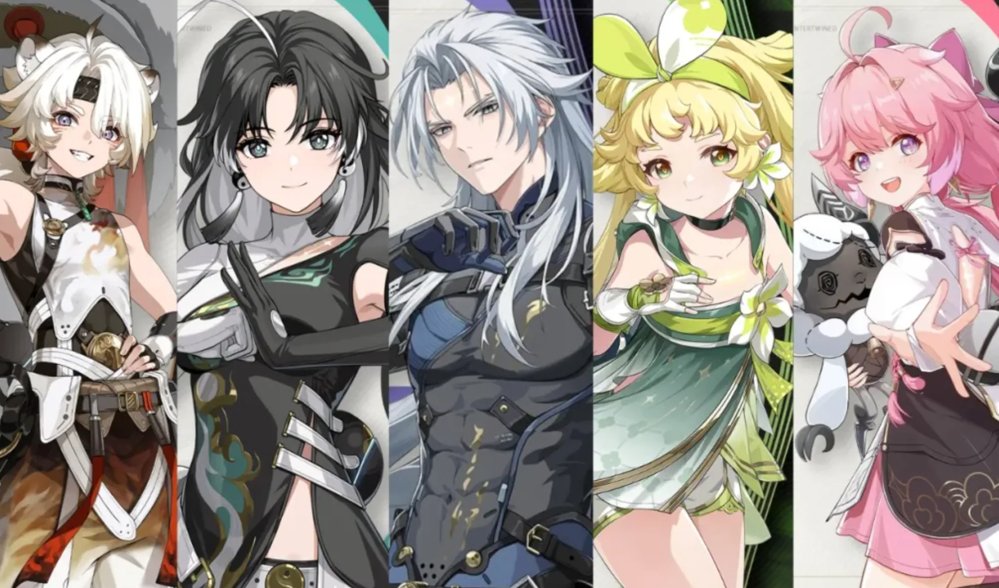 The Pity System In Wuthering Waves Explained | 1v9