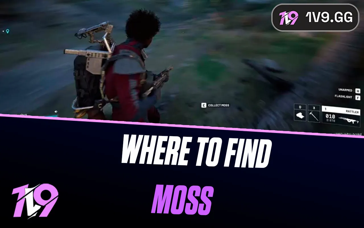 Where To Find Moss In Arc Raiders: Complete Guide | 1v9