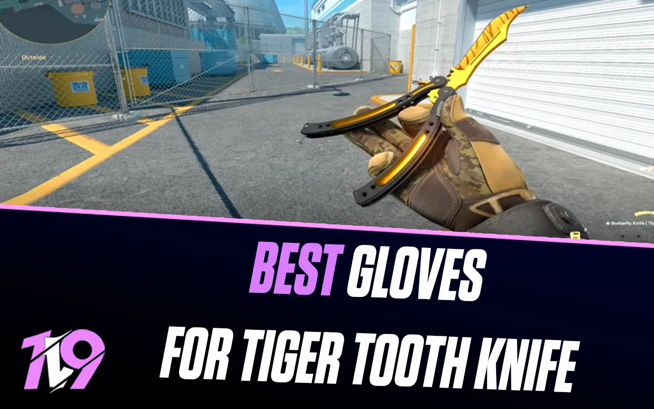 10 Best Gloves To Pair With Tiger Tooth Knife In CS2 | 1v9