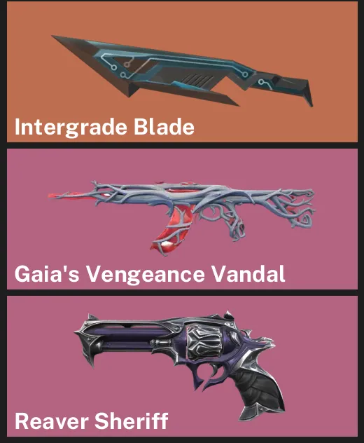 🌎NA 🎮 UNRANKED 🔪 Intergrade Blade 🌿 Gaia's Vengeance Vandal ⚡ Reaver ...